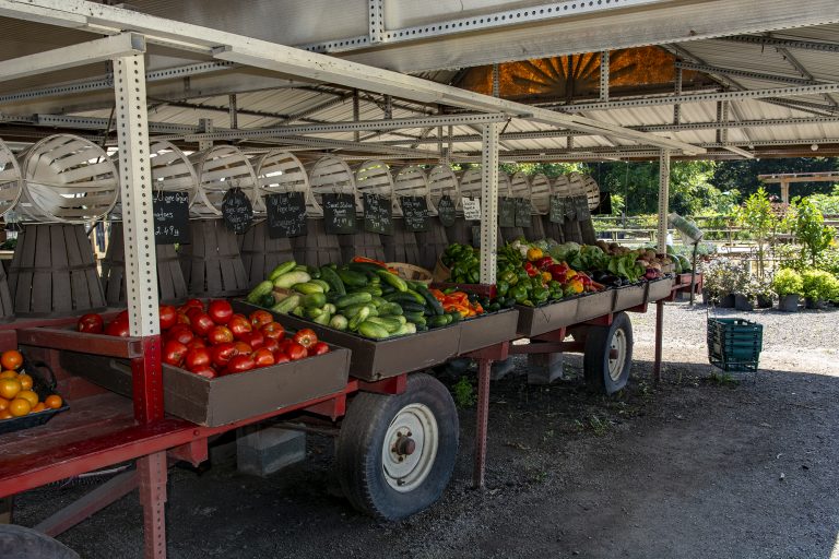 Farm Market - O & F Farm & Garden